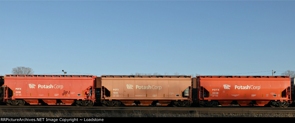 POTX 2438 POTX 1555 POTX 3338